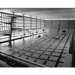 Pitt Photographs | Documenting Pitt