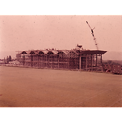 Pitt Photographs | Documenting Pitt